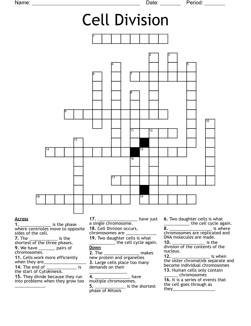 Cell Division Crossword - WordMint