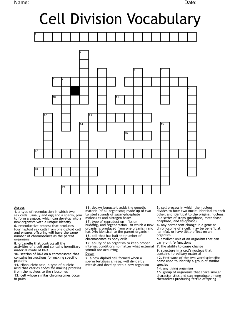 Cell Division Vocabulary Crossword WordMint