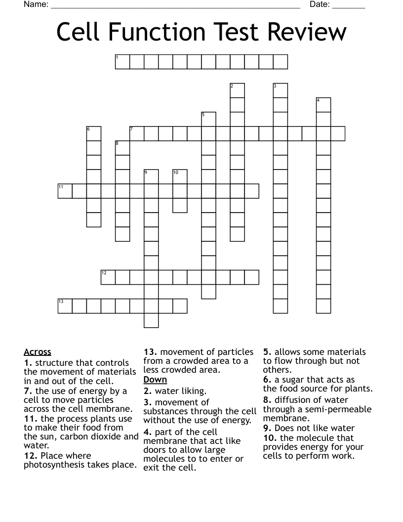 Cell Function Test Review Crossword WordMint cell-function-test-review-crossword-wordmint