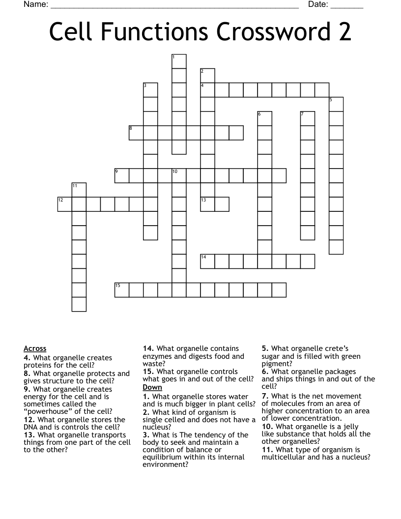 Cell Functions Crossword 2 - WordMint