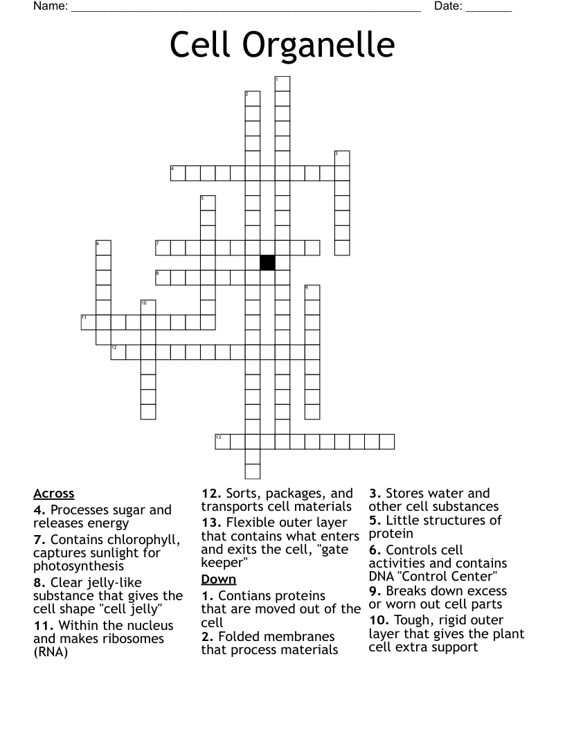 Cell Organelle Crossword - WordMint