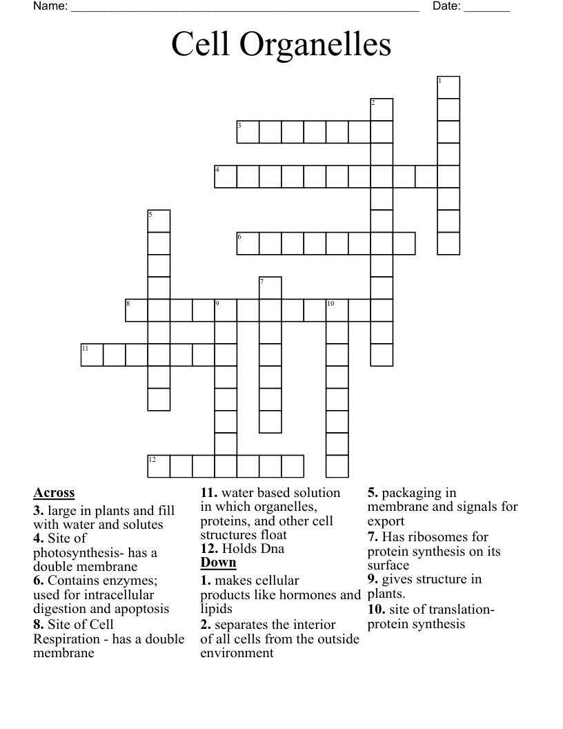 Cell Organelles Crossword - WordMint