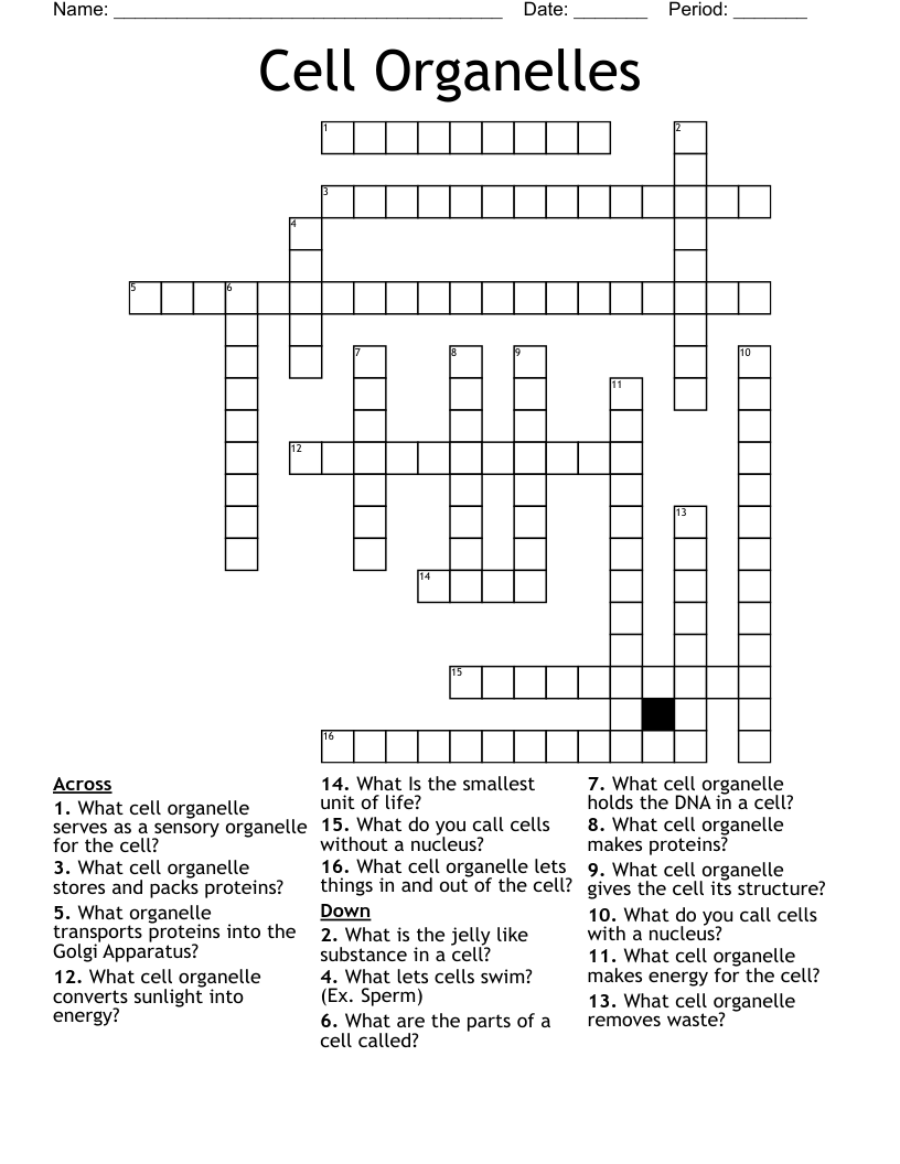 Cell Organelles Crossword - WordMint