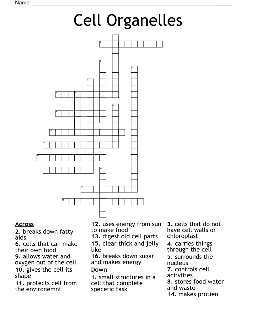 Cell Organelles Crossword - WordMint