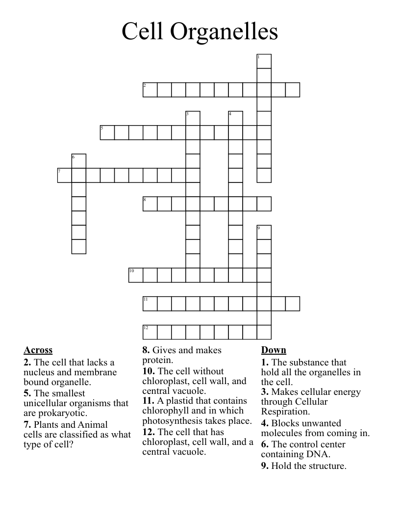 Cell Organelles Crossword - WordMint