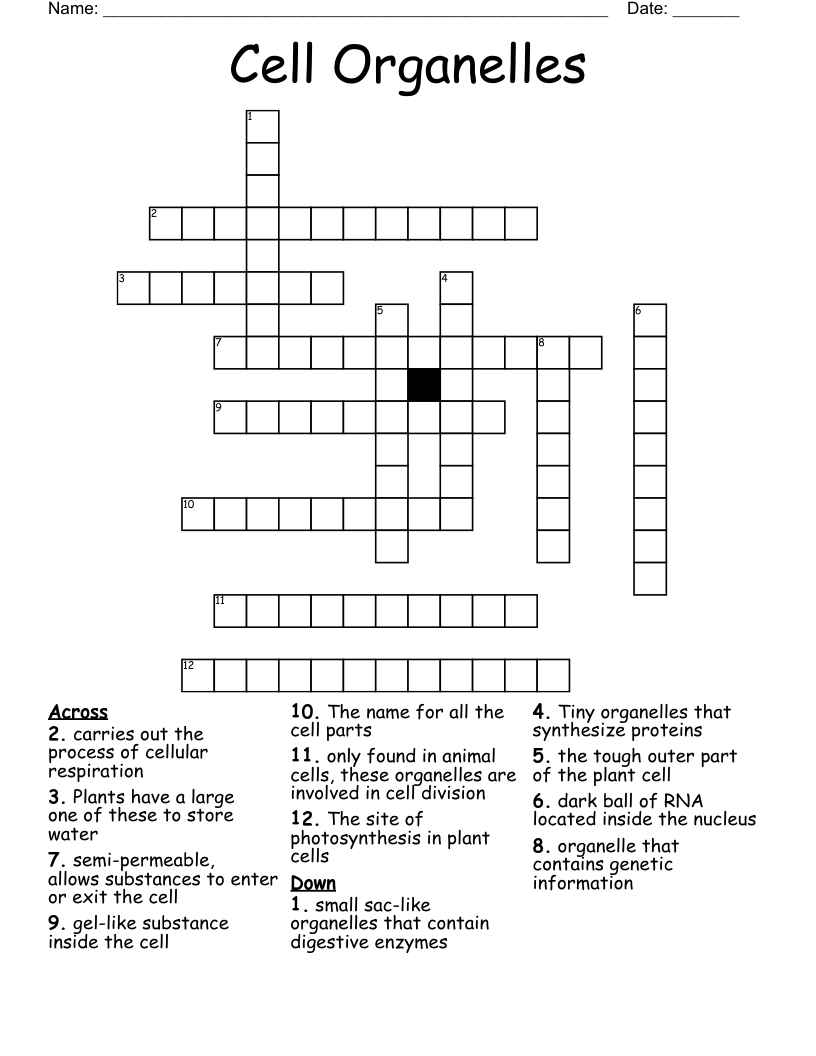 Cell Organelles Crossword - WordMint