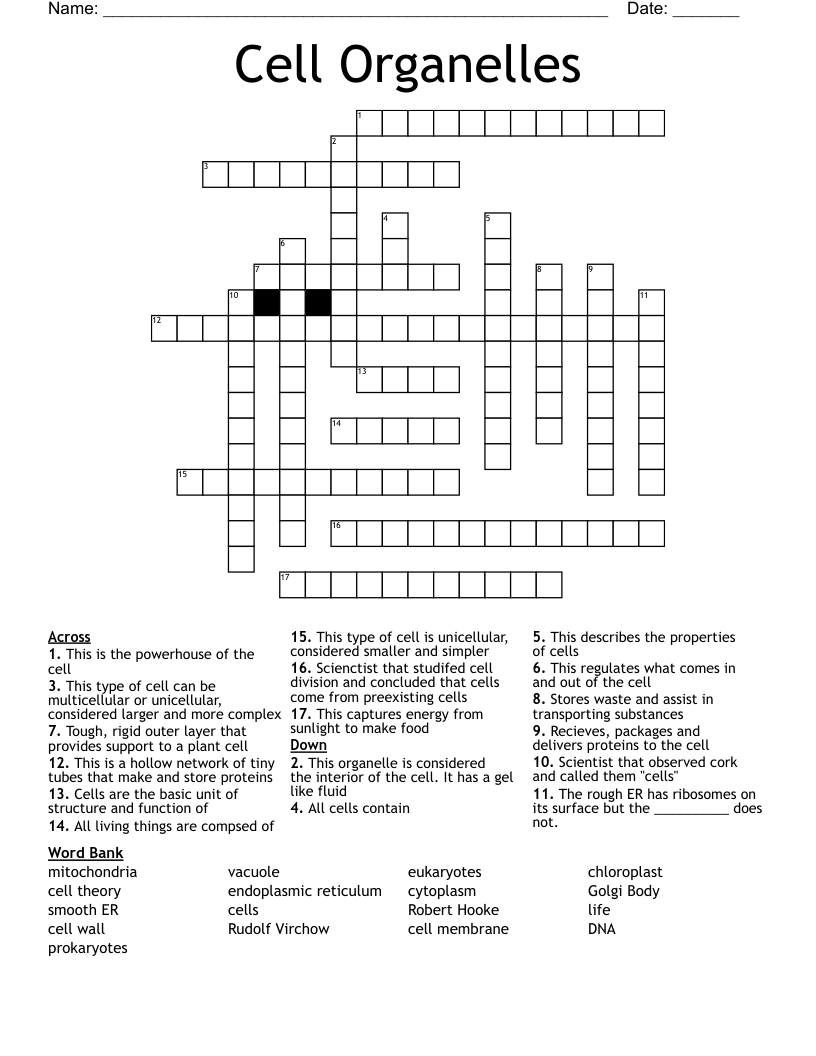 Cell Organelles Crossword - WordMint