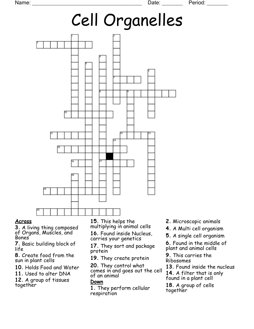 Cell Organelles Crossword - WordMint