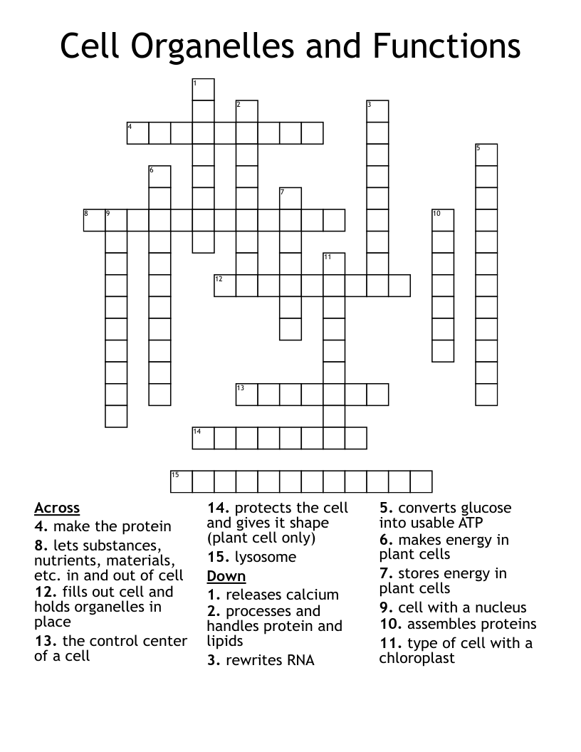 Cell Organelles and Functions Crossword - WordMint