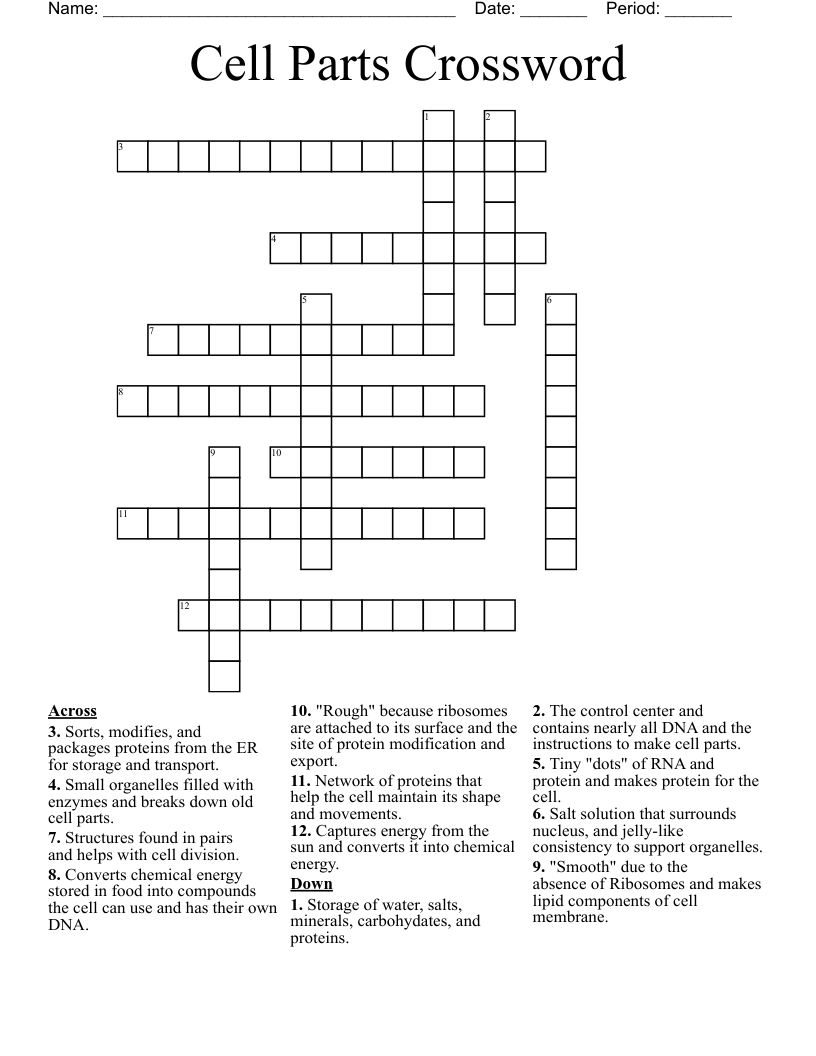 Cell Parts Crossword WordMint