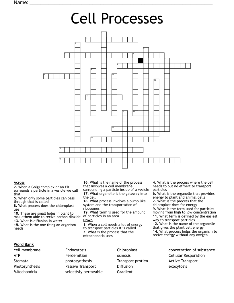 Cell Processes Crossword - WordMint