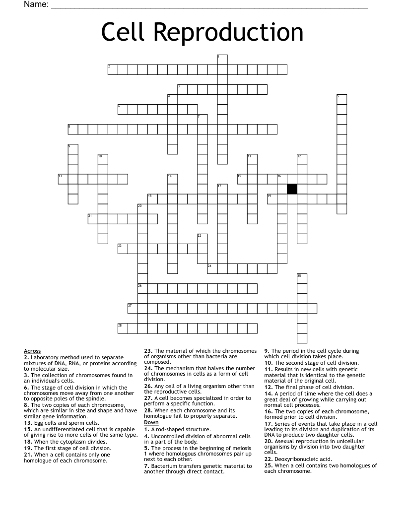 Cell Reproduction Crossword - WordMint