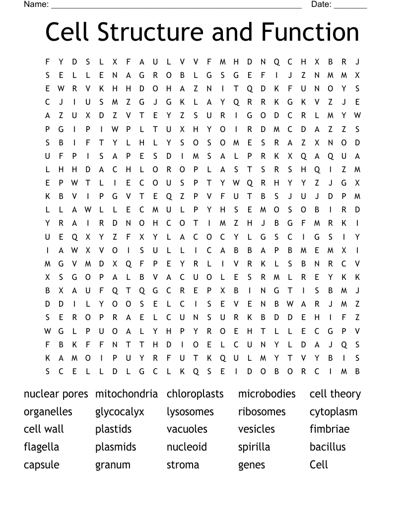 Cell Structure and Function Word Search - WordMint