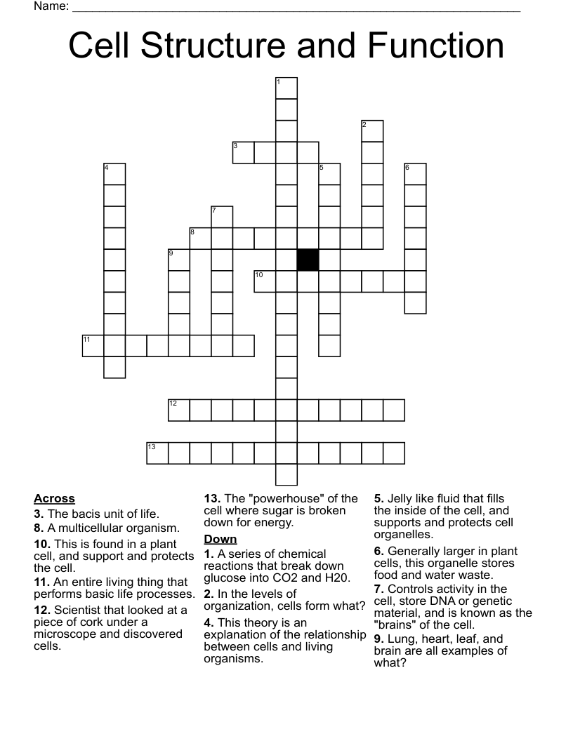 Chapter 3 Cell Structure And Function Crossword Puzzle Answer Key 