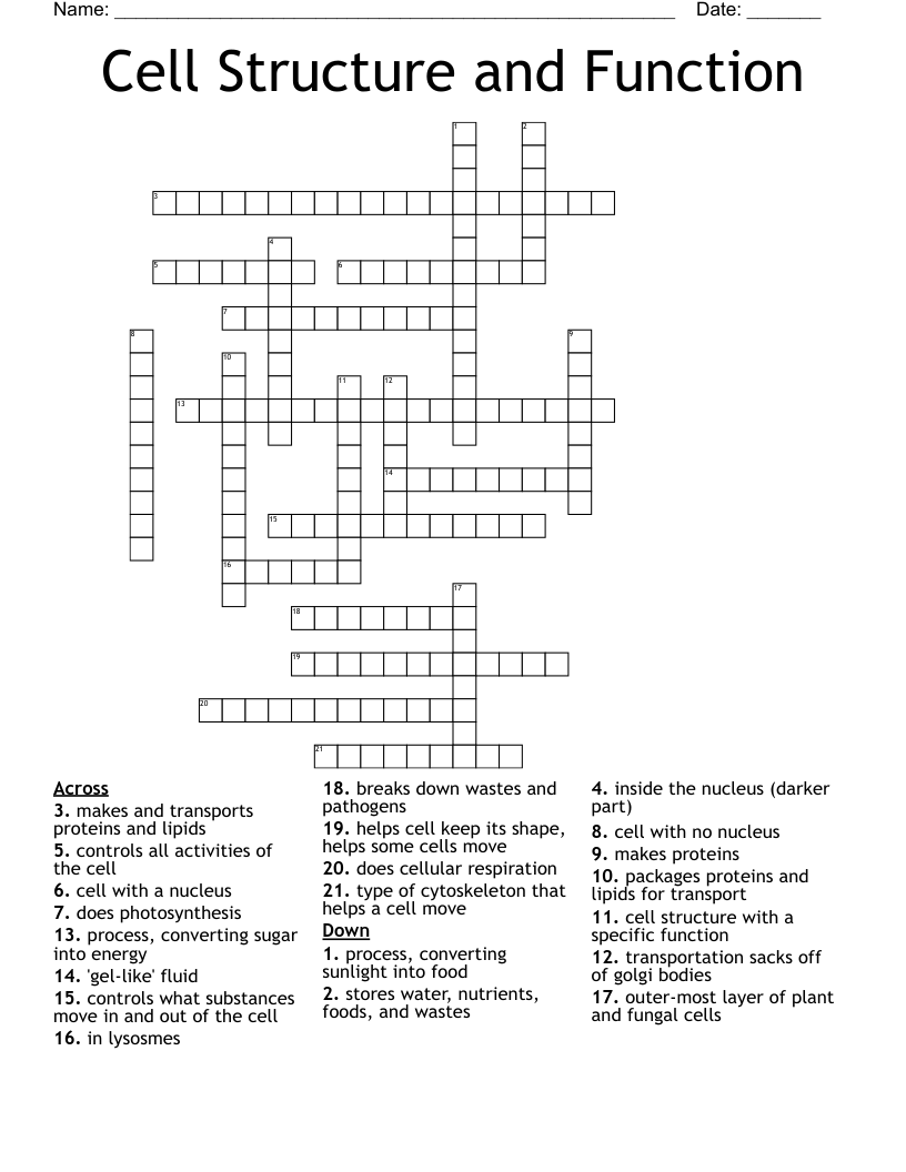 Cell Structure And Function Word Search WordMint