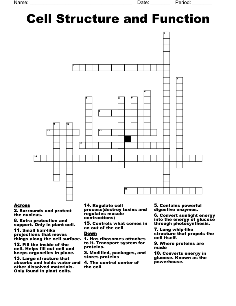 Cell Structure And Function Crossword WordMint