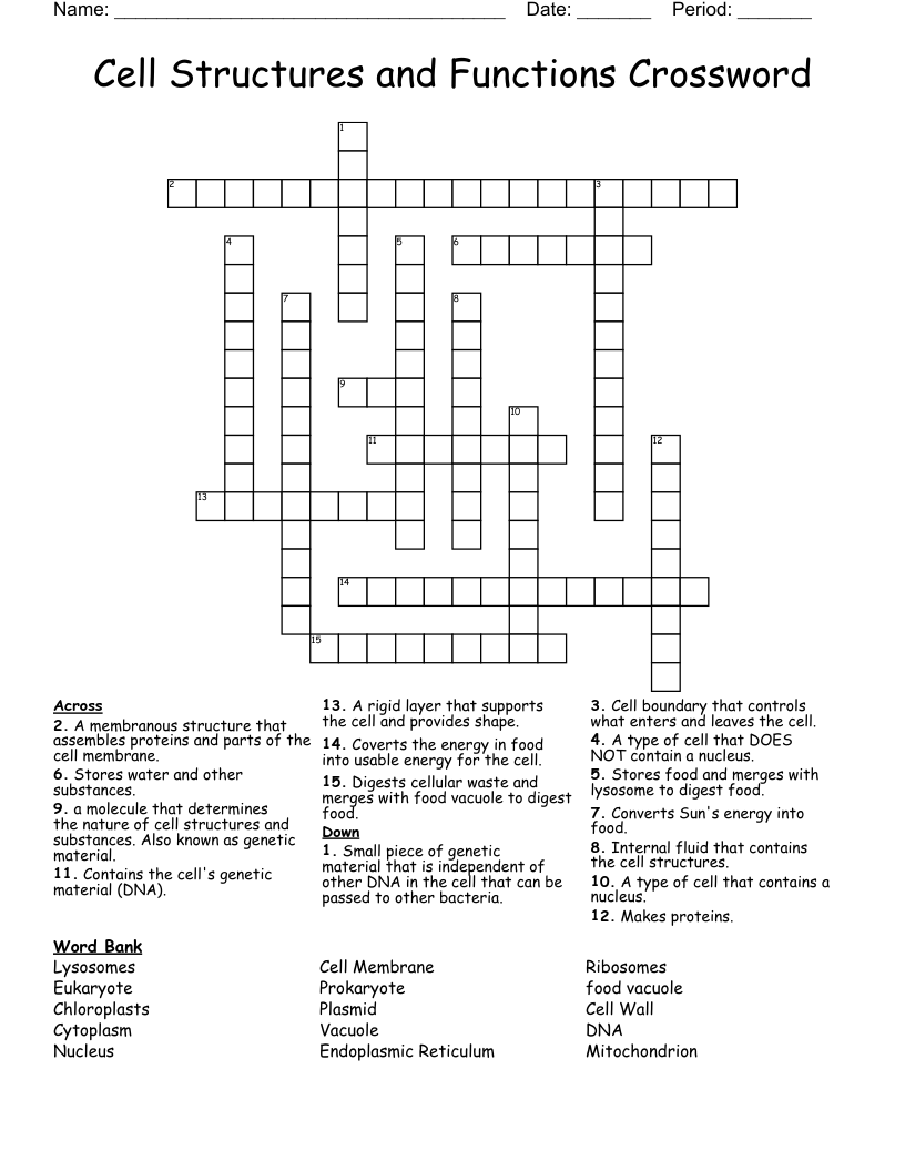 Cell Structures and Functions Crossword - WordMint