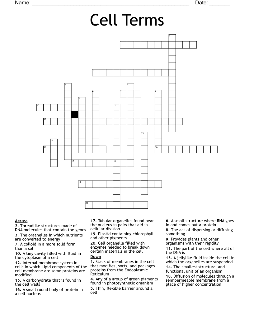 Cell Terms Crossword - WordMint