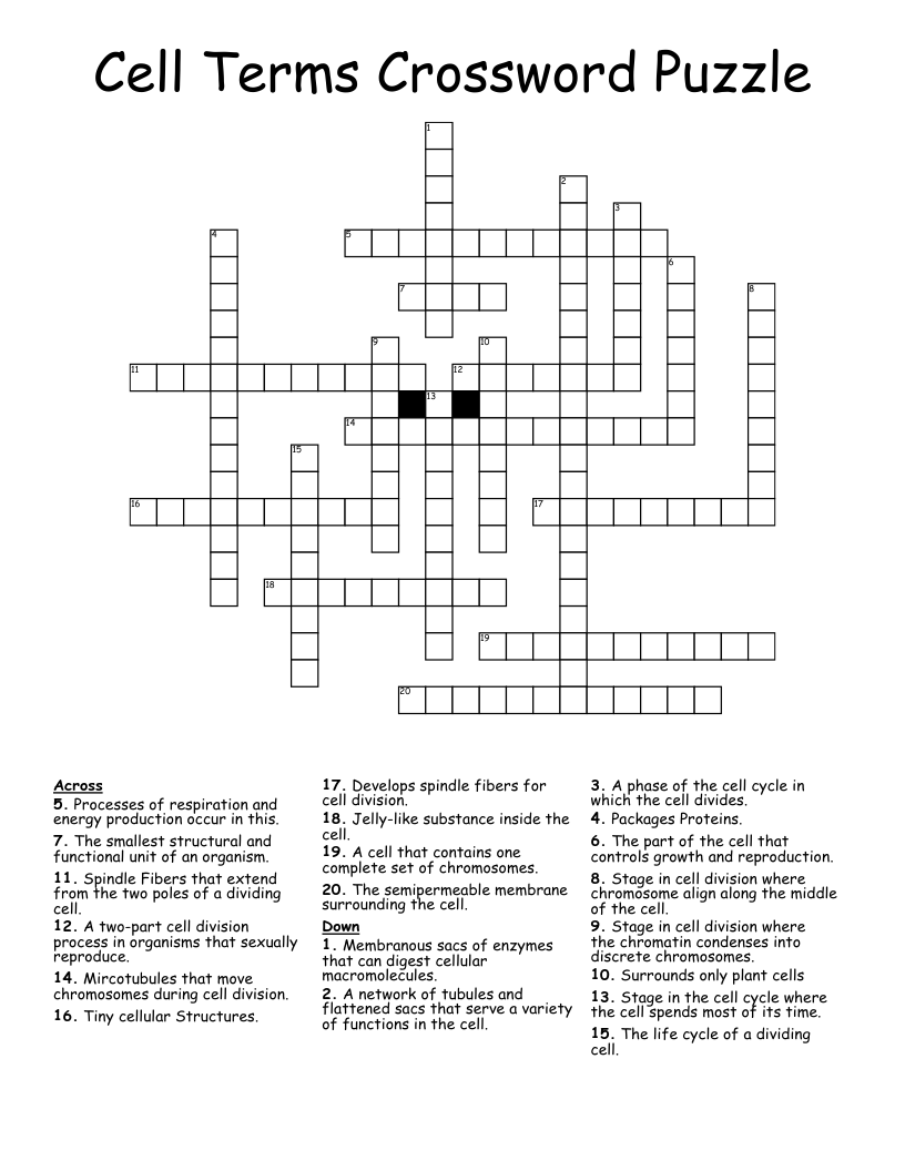 Cell Terms Crossword Puzzle WordMint