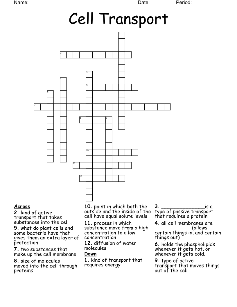 Cell Transport Crossword - WordMint
