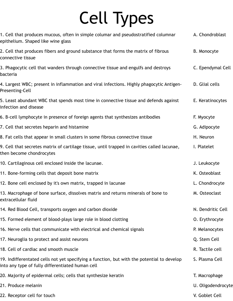 Cell Types Worksheet WordMint