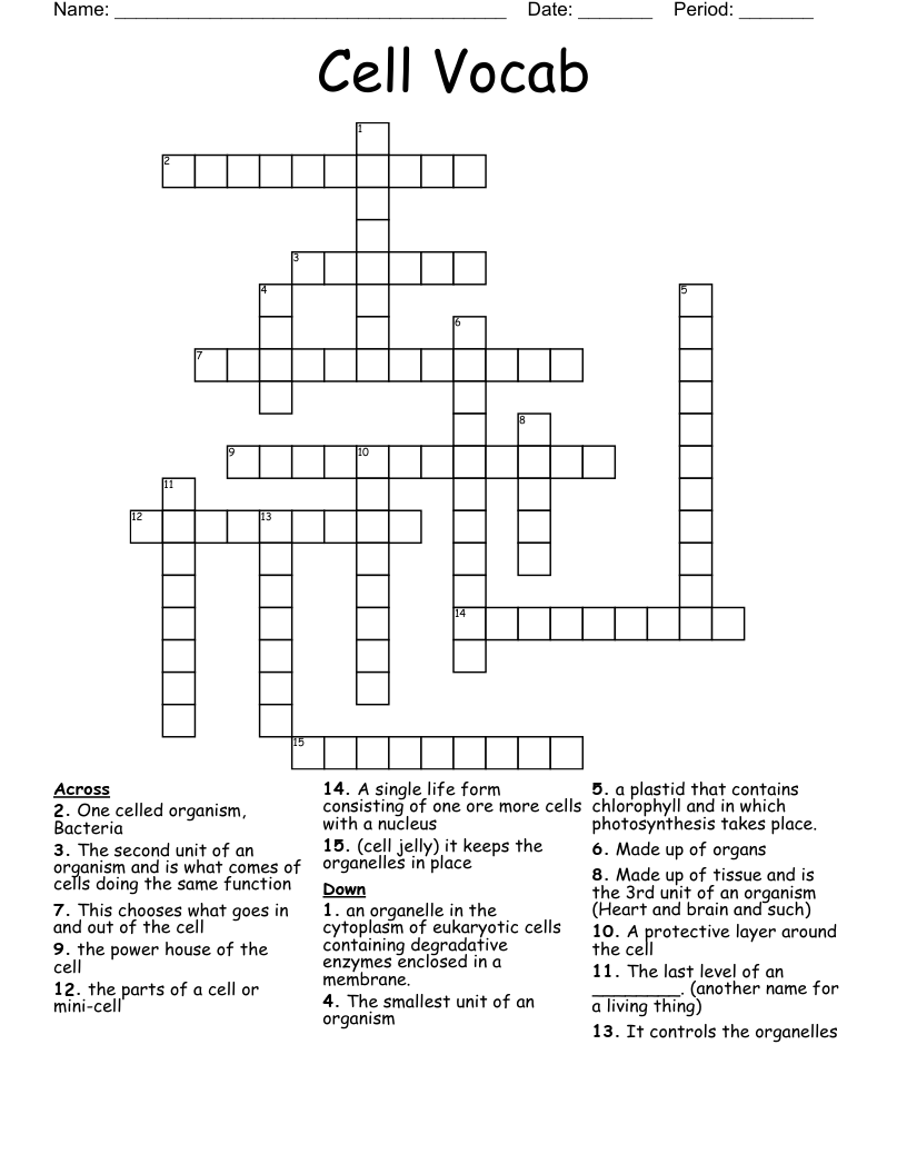 Cell Vocab Crossword - WordMint