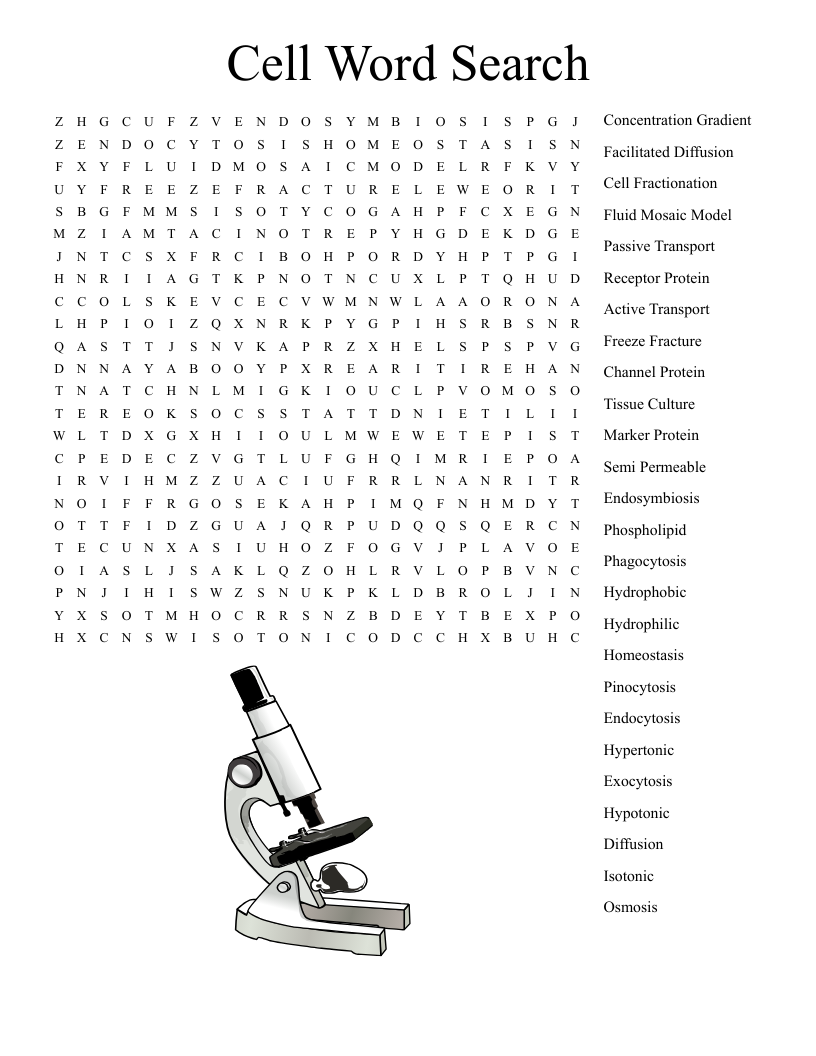 Cell Membrane Word Search WordMint