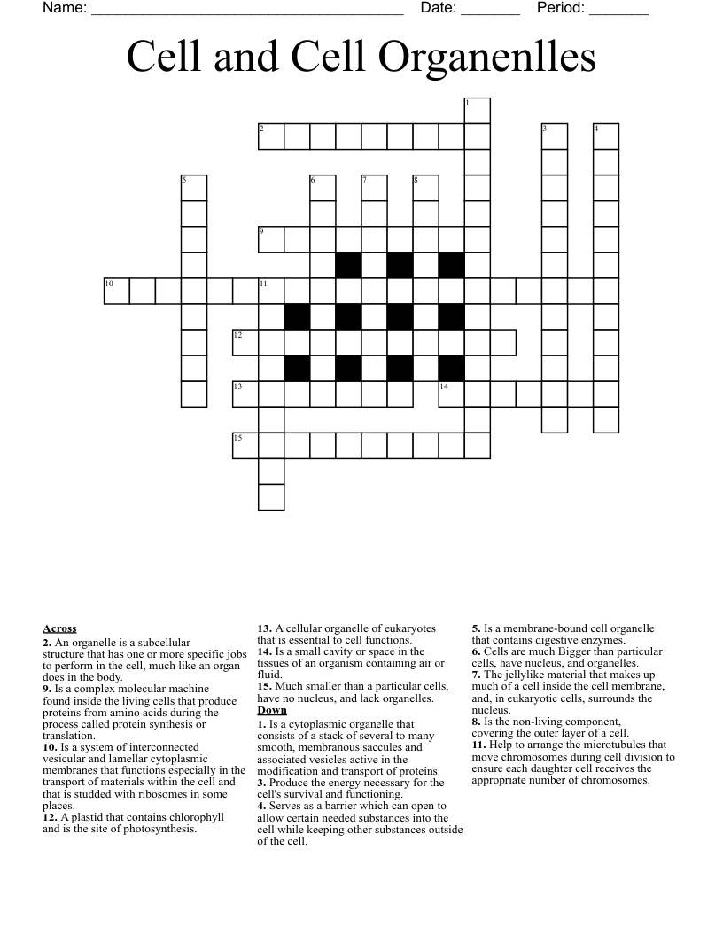 Cell and Cell Organenlles Crossword - WordMint