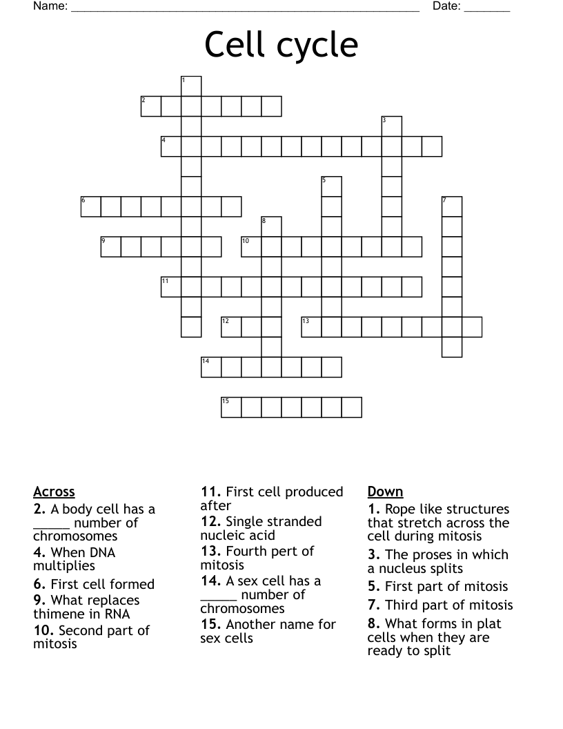 Cell cycle Crossword - WordMint