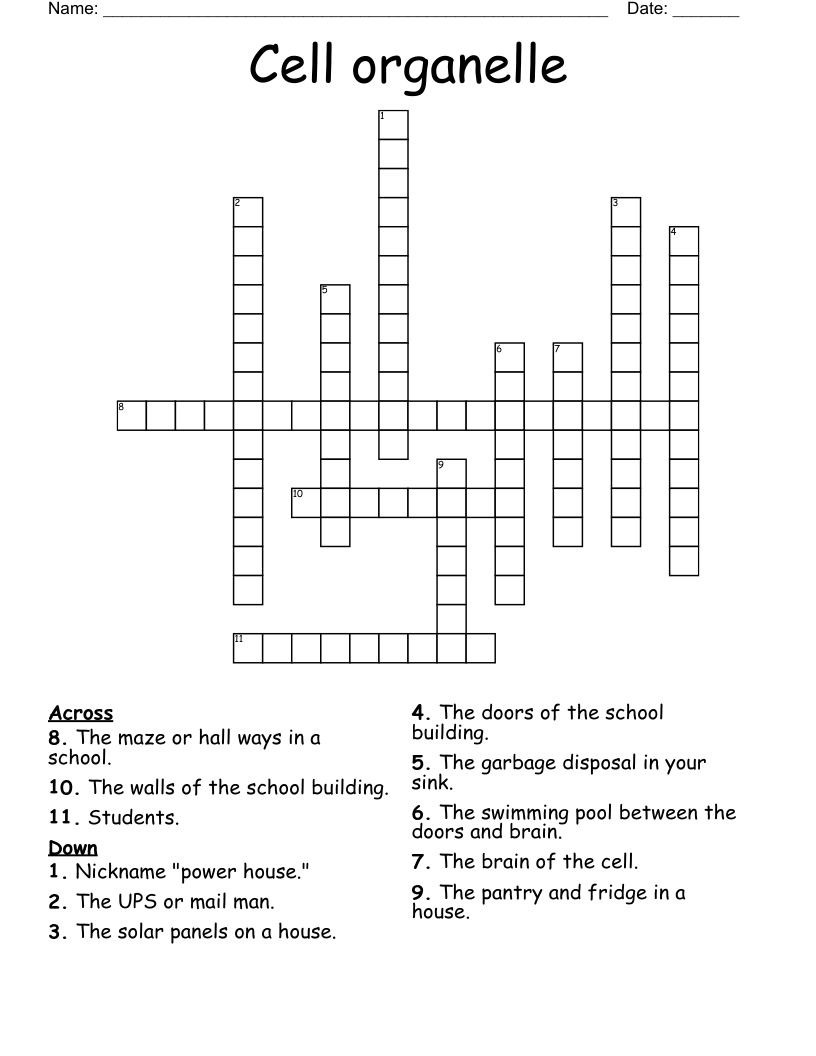 Cell Organelle Crossword WordMint