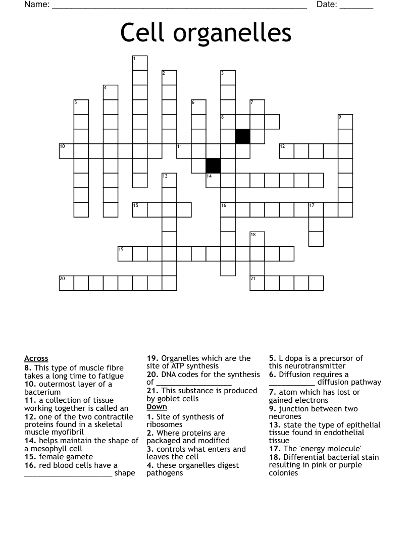 Cell organelles Crossword - WordMint
