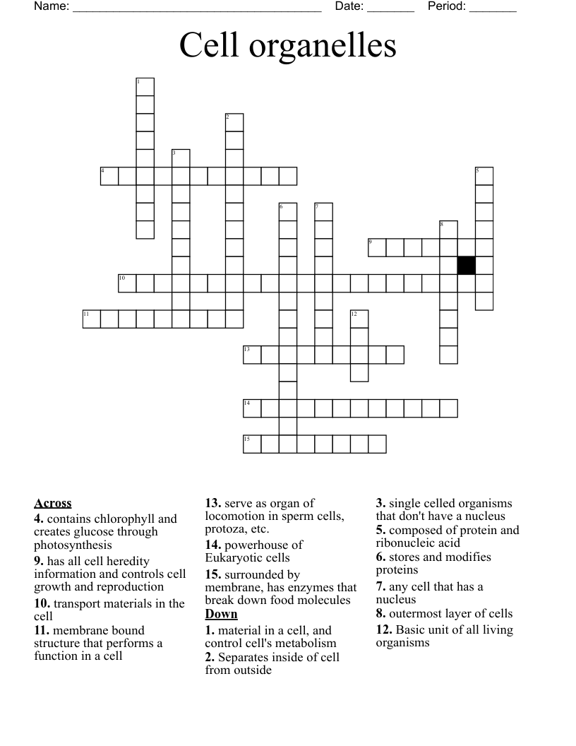 Cell organelles Crossword - WordMint