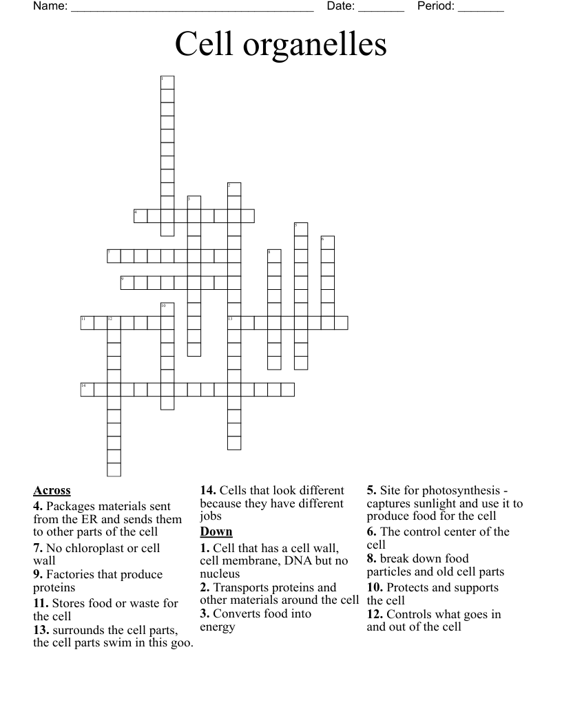 Cell organelles Crossword - WordMint