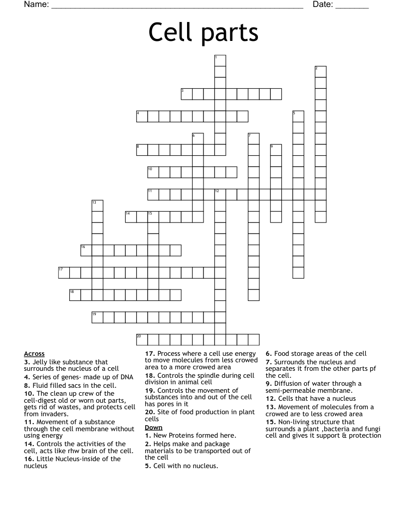 Cell parts Crossword - WordMint