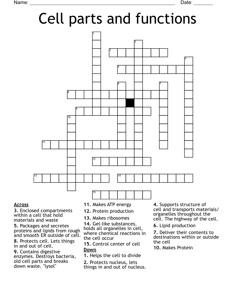 Cell parts and functions Crossword - WordMint