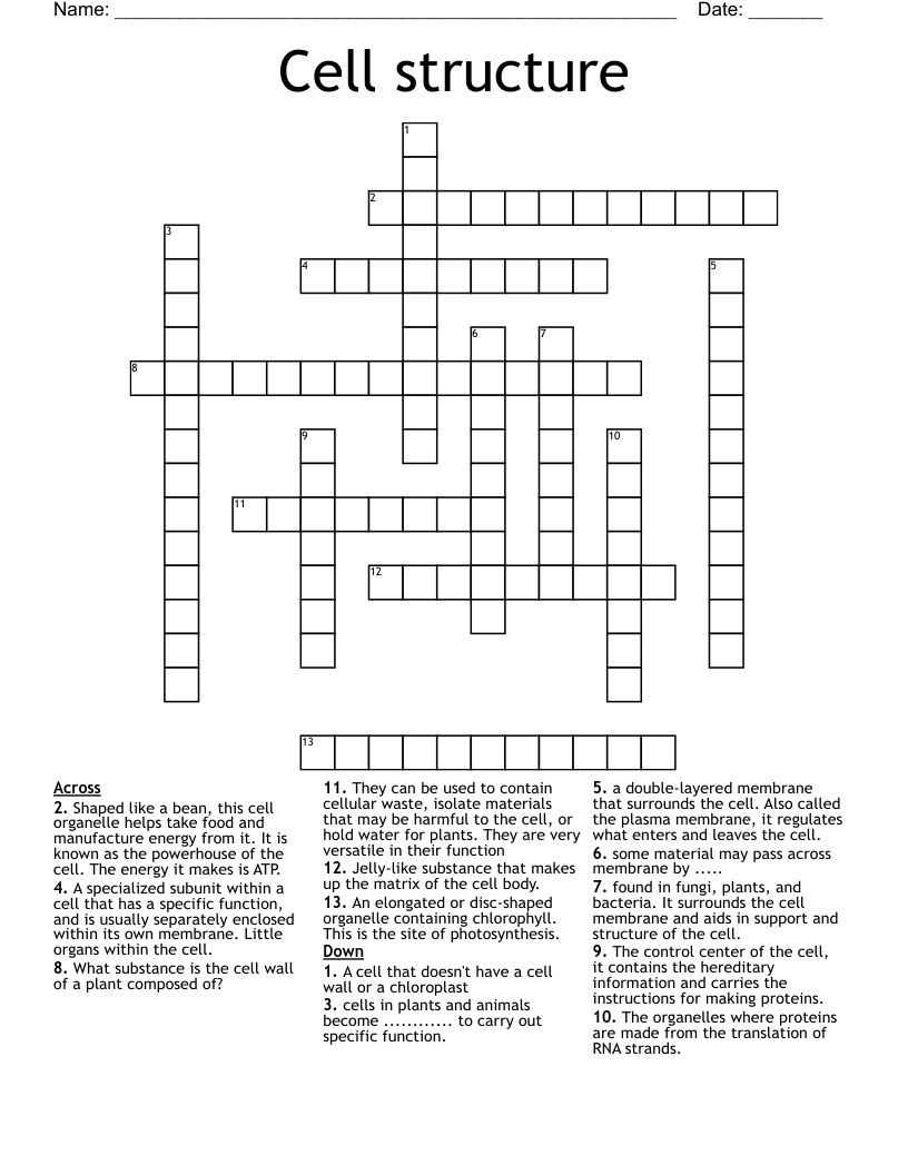 Cell structure Crossword - WordMint