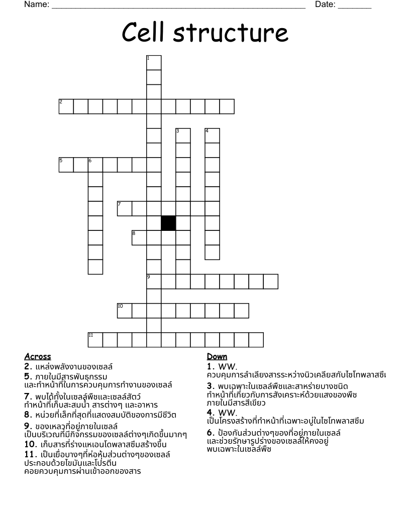 cell-structure-crossword-wordmint