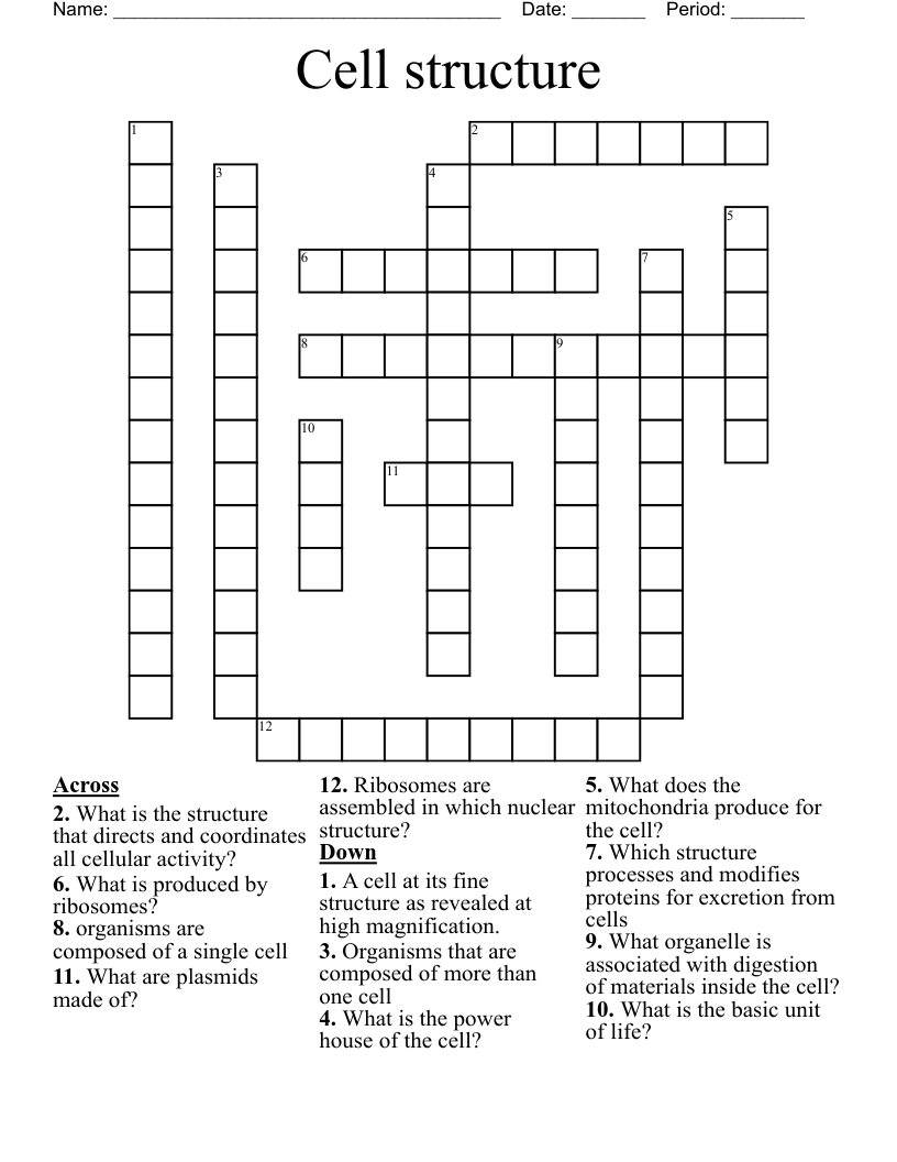 Cell Structure Crossword WordMint cell-structure-crossword-wordmint