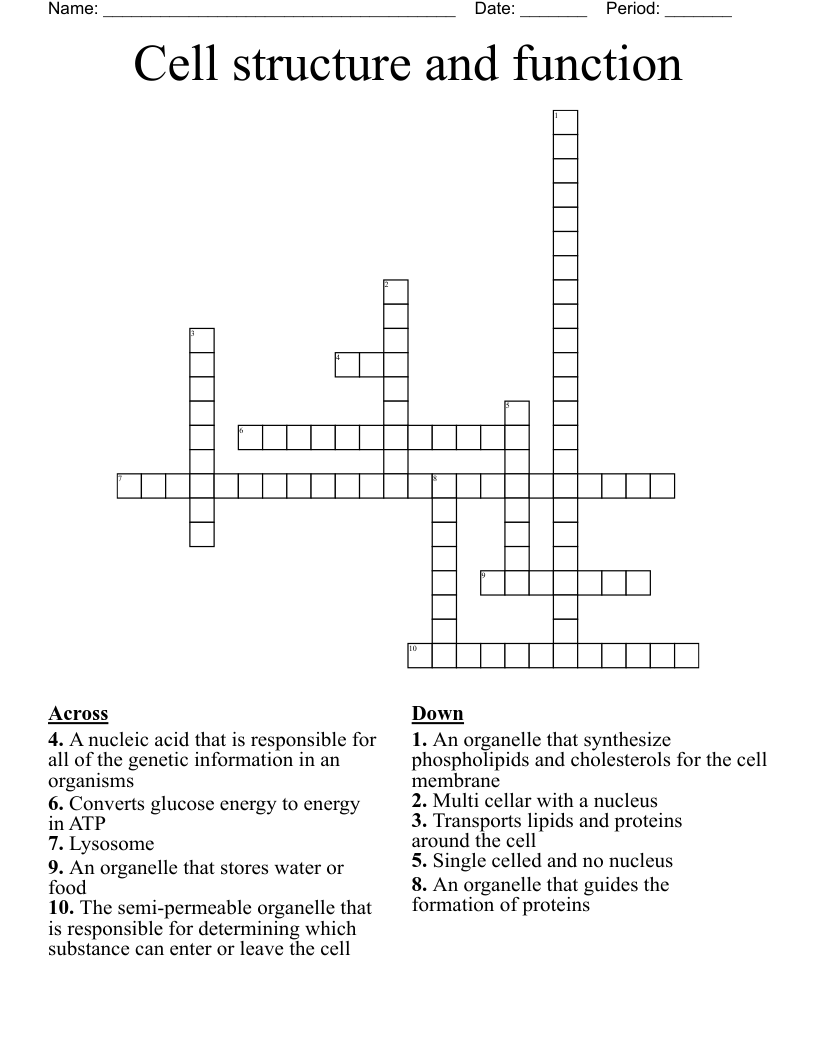 Cell Structure And Function Crossword WordMint