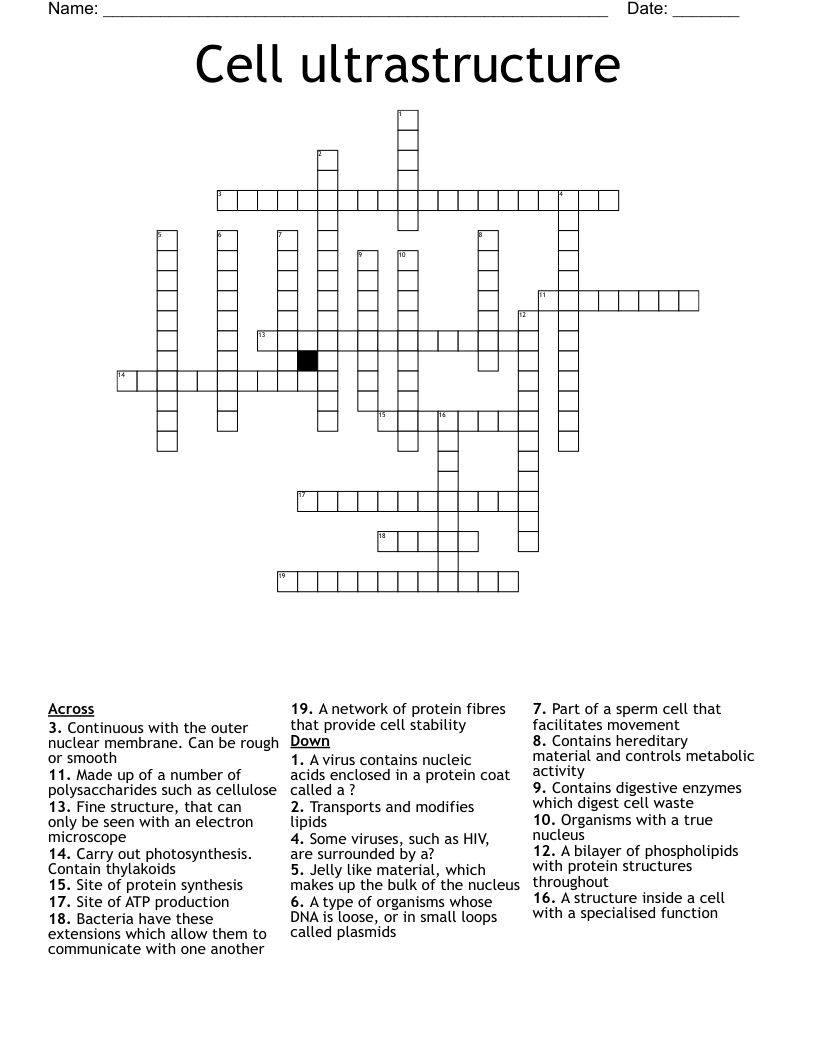 Cell ultrastructure Crossword - WordMint