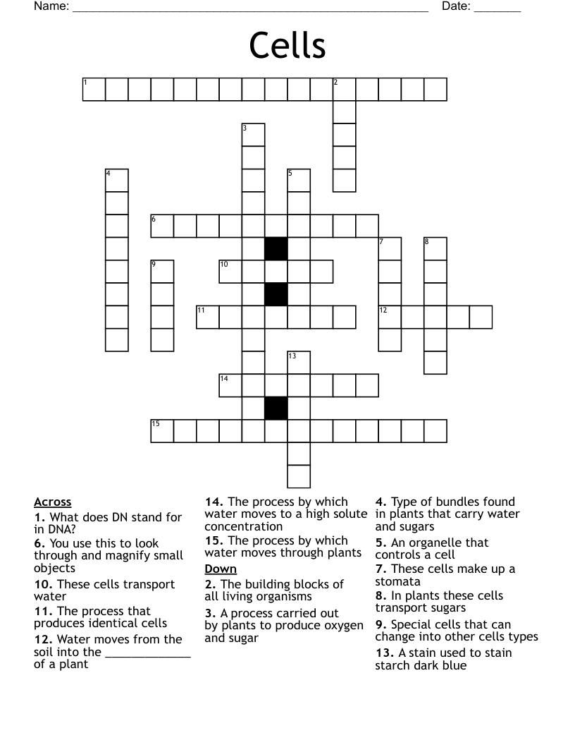 Cells Crossword - WordMint