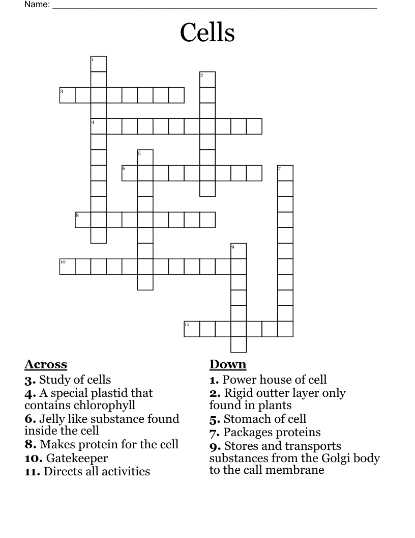 Cells Crossword - WordMint