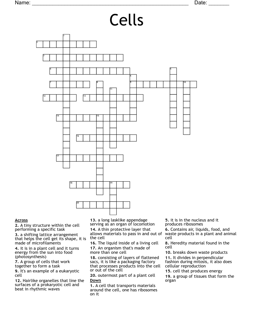 Cells Crossword - WordMint