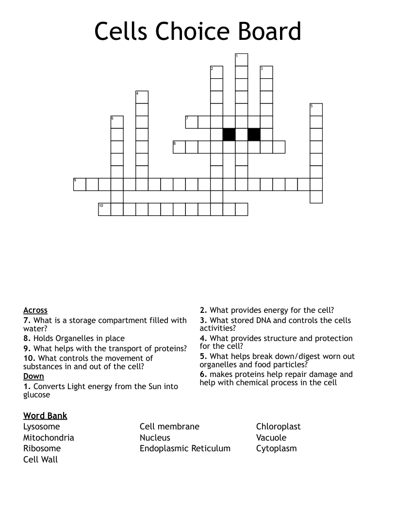 Cells Choice Board Crossword - WordMint