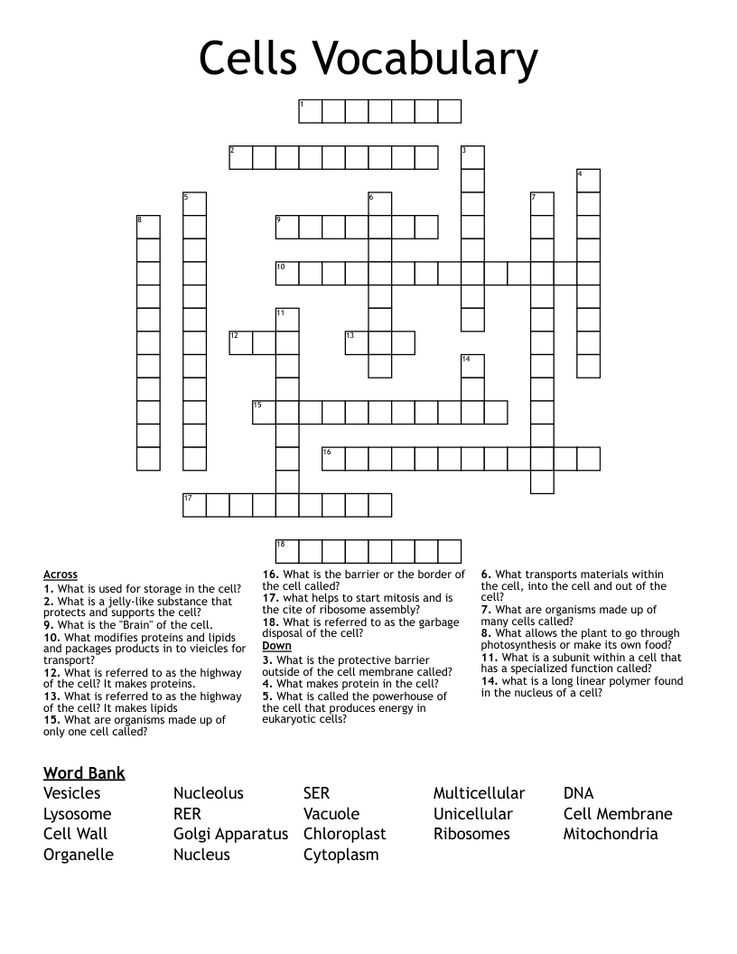 Cells Vocabulary Crossword - WordMint