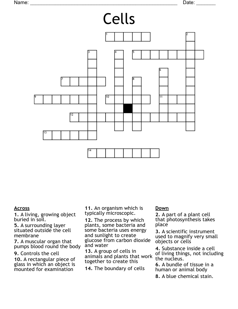 Cells Crossword WordMint