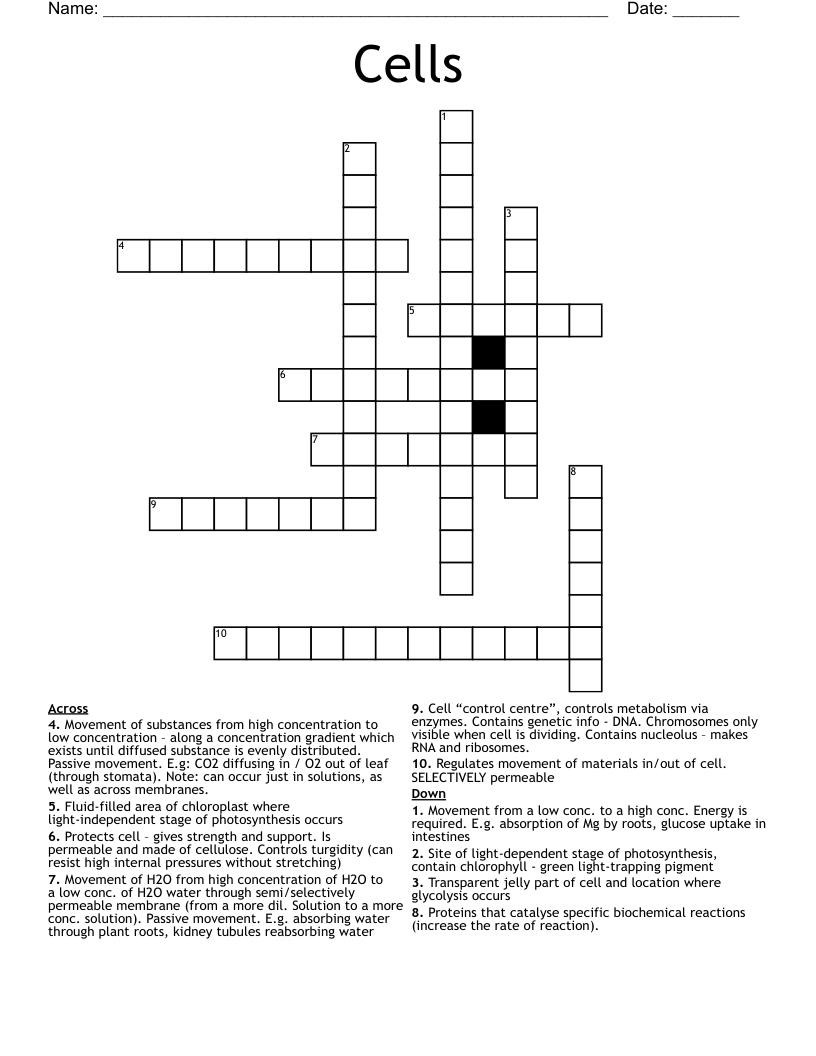 Cells Crossword - WordMint
