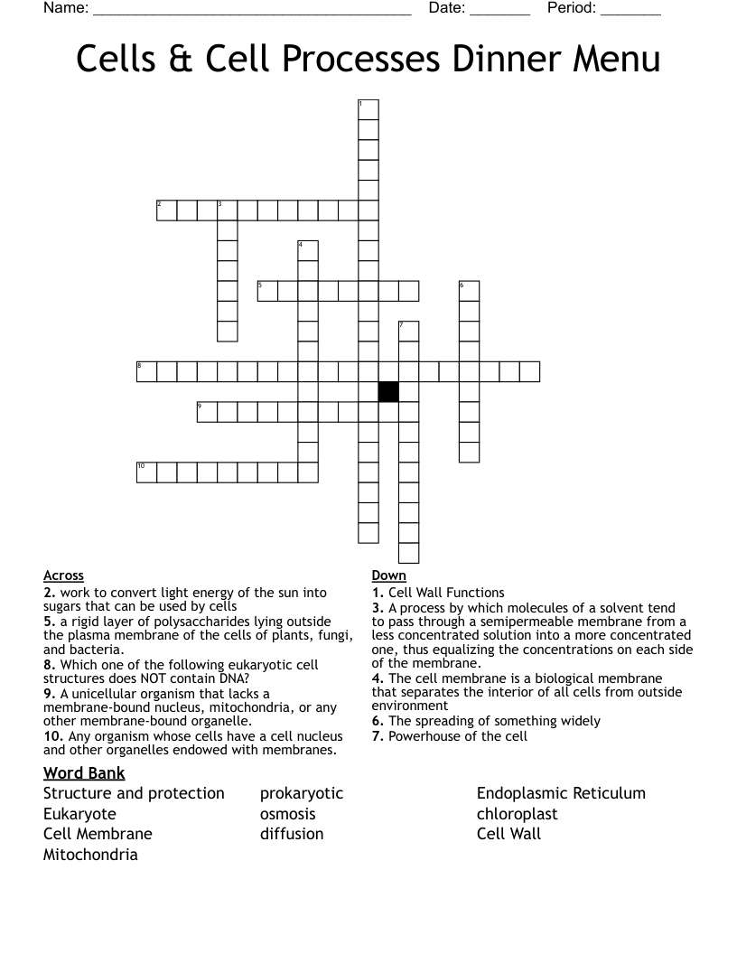 Cells & Cell Processes Dinner Menu Crossword - WordMint