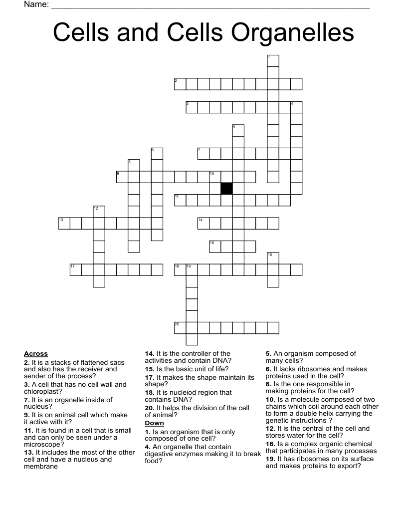Cells and Cells Organelles Crossword - WordMint