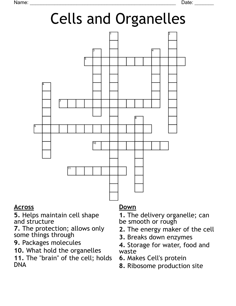 Cells and Organelles Crossword - WordMint